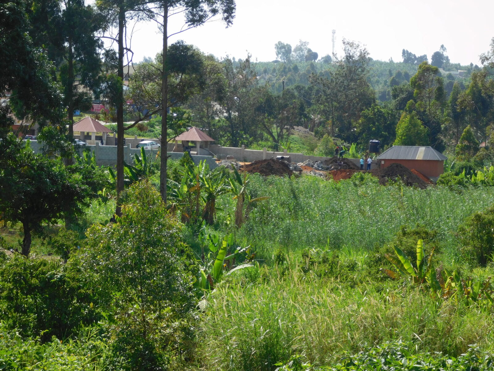 Fort Portal Town: The Gateway to Western Uganda – Muhiga Safaris